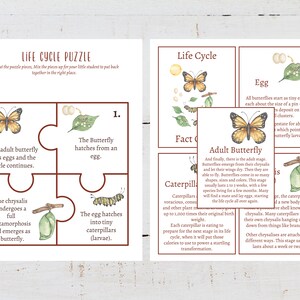 BUTTERFLY Unit Study, Life Cycle, Anatomy, Species, Nature Study ...
