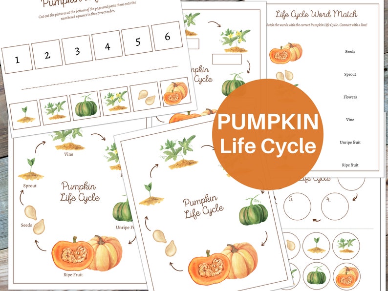PUMPKIN LIFE CYCLE, Posters, 3-part Cards, Fact Cards, Tracing ...