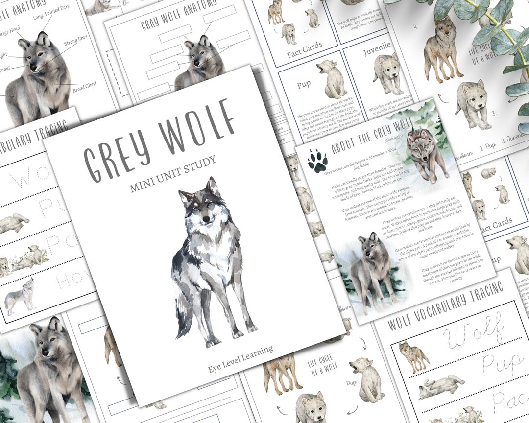 WOLF Mini Unit Study, Life Cycle, Anatomy, Nature Study, Science ...