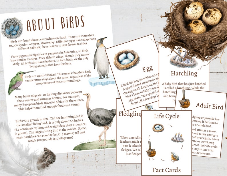 BIRD Unit Study, Life Cycle, Anatomy, Nature Study, Science, Homeschool ...