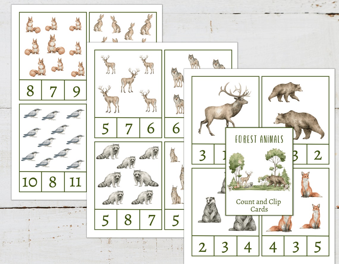 FOREST Animals Pre-k and K Activity Pack, Homeschool, Digital, INSTANT ...