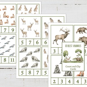 FOREST Animals Pre-k and K Activity Pack, Homeschool, Digital, INSTANT ...