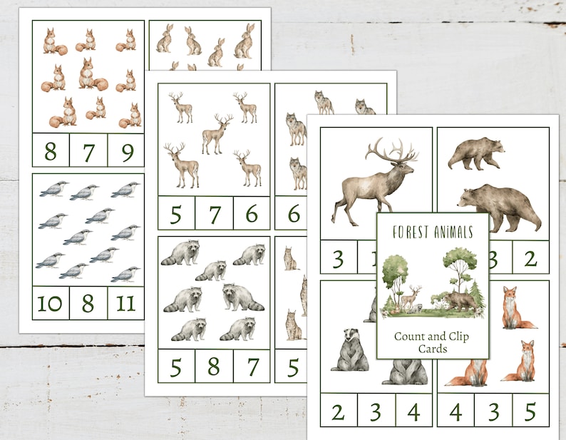 FOREST Animals Pre-k and K Activity Pack Homeschool Digital - Etsy