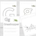 GRASSHOPPER Unit Study, Life Cycle, Anatomy, Nature Study, Science ...