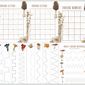 MUSHROOM Unit Study, Life Cycle, Anatomy, Nature Study, Science ...