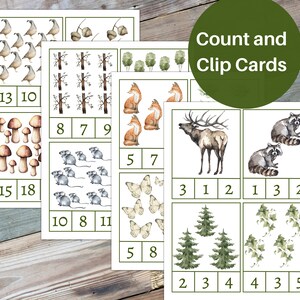 IN THE FOREST Pre-k and K Activity Pack, Homeschool, Digital, Instant ...