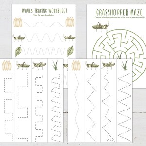 GRASSHOPPER Unit Study, Life Cycle, Anatomy, Nature Study, Science ...