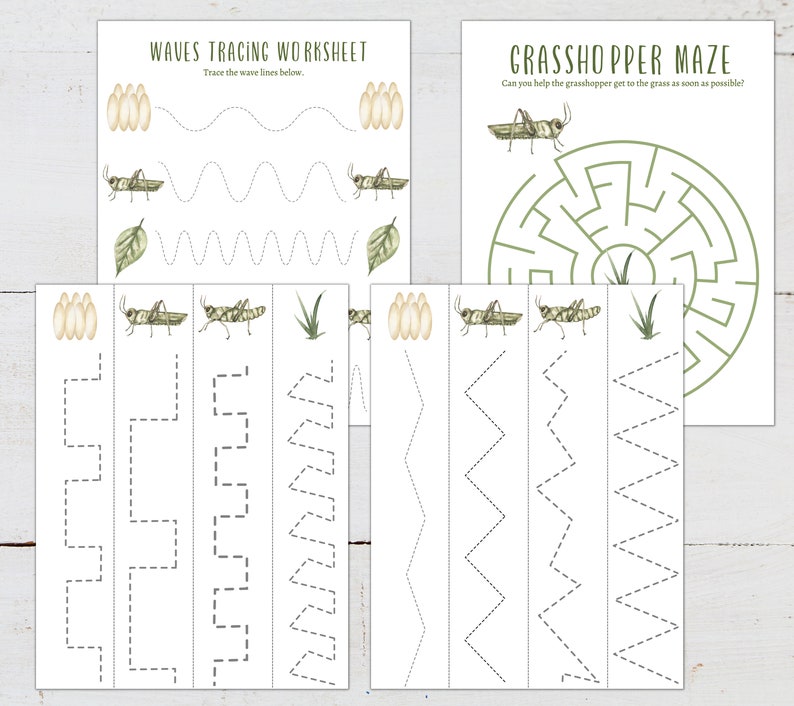 GRASSHOPPER Unit Study, Life Cycle, Anatomy, Nature Study, Science ...