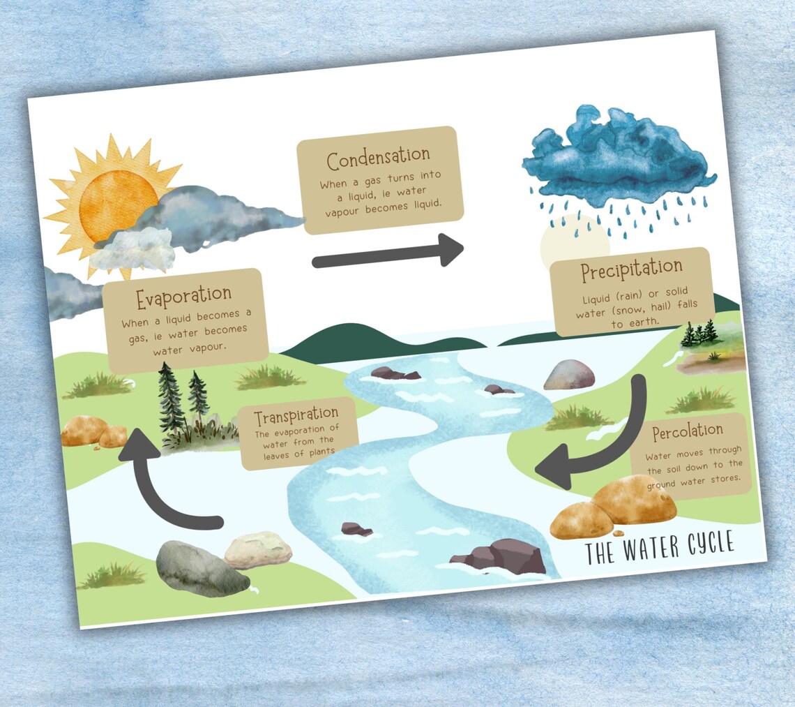 Water Cycle Posters + Labeling Activity, INSTANT DOWNLOAD, DIGITAL - Etsy