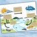 Water Cycle Posters + Labeling Activity, INSTANT DOWNLOAD, DIGITAL - Etsy