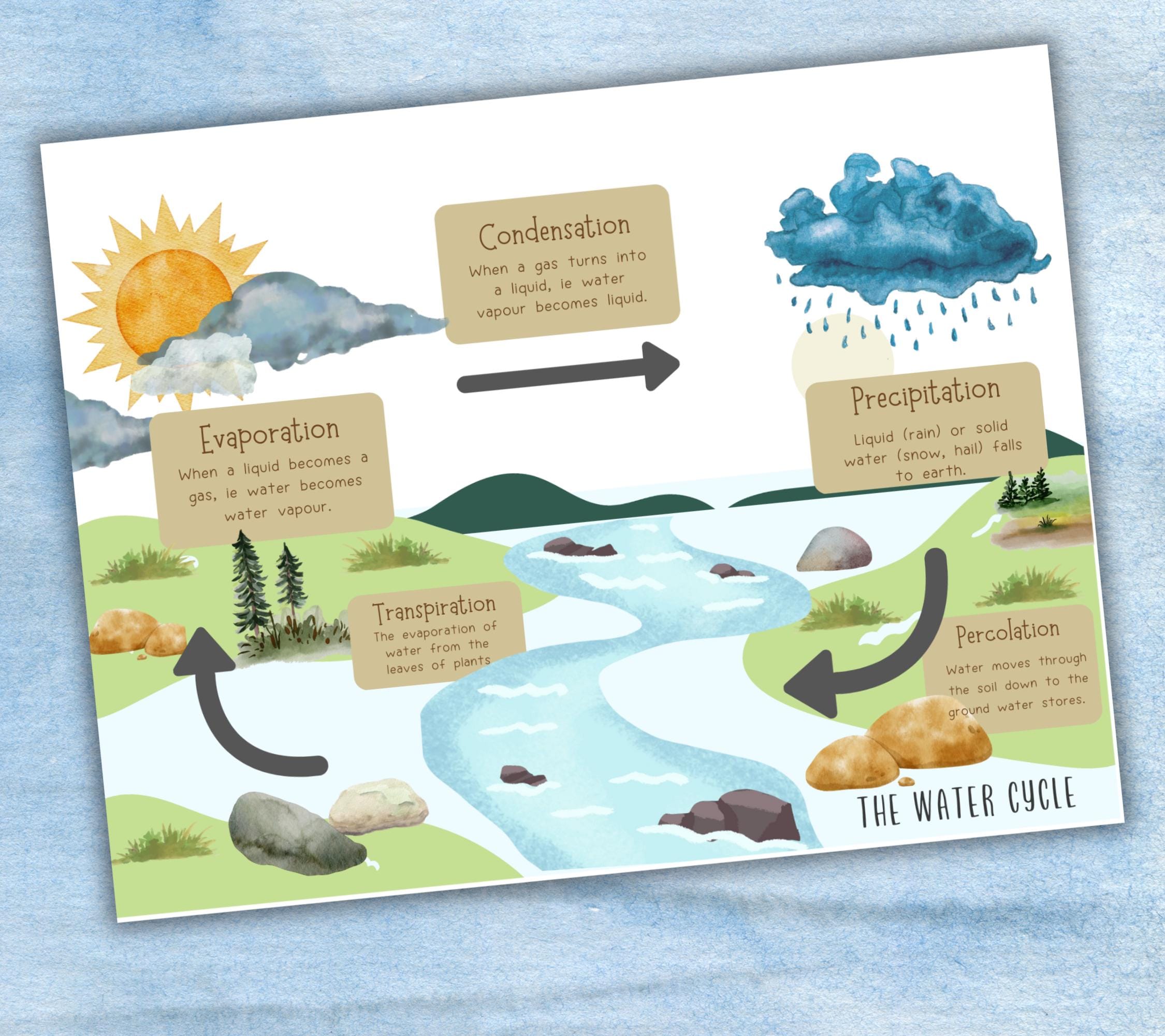 Water Cycle Posters + Labeling Activity, INSTANT DOWNLOAD, DIGITAL - Etsy