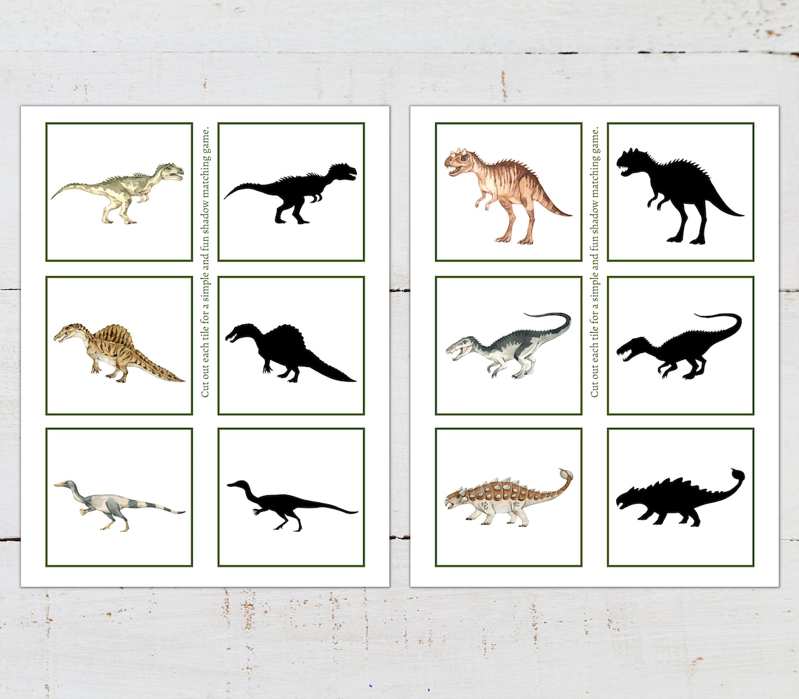DINOSAUR Shadow Matching, Silhouette Matching, Montessori at Home ...
