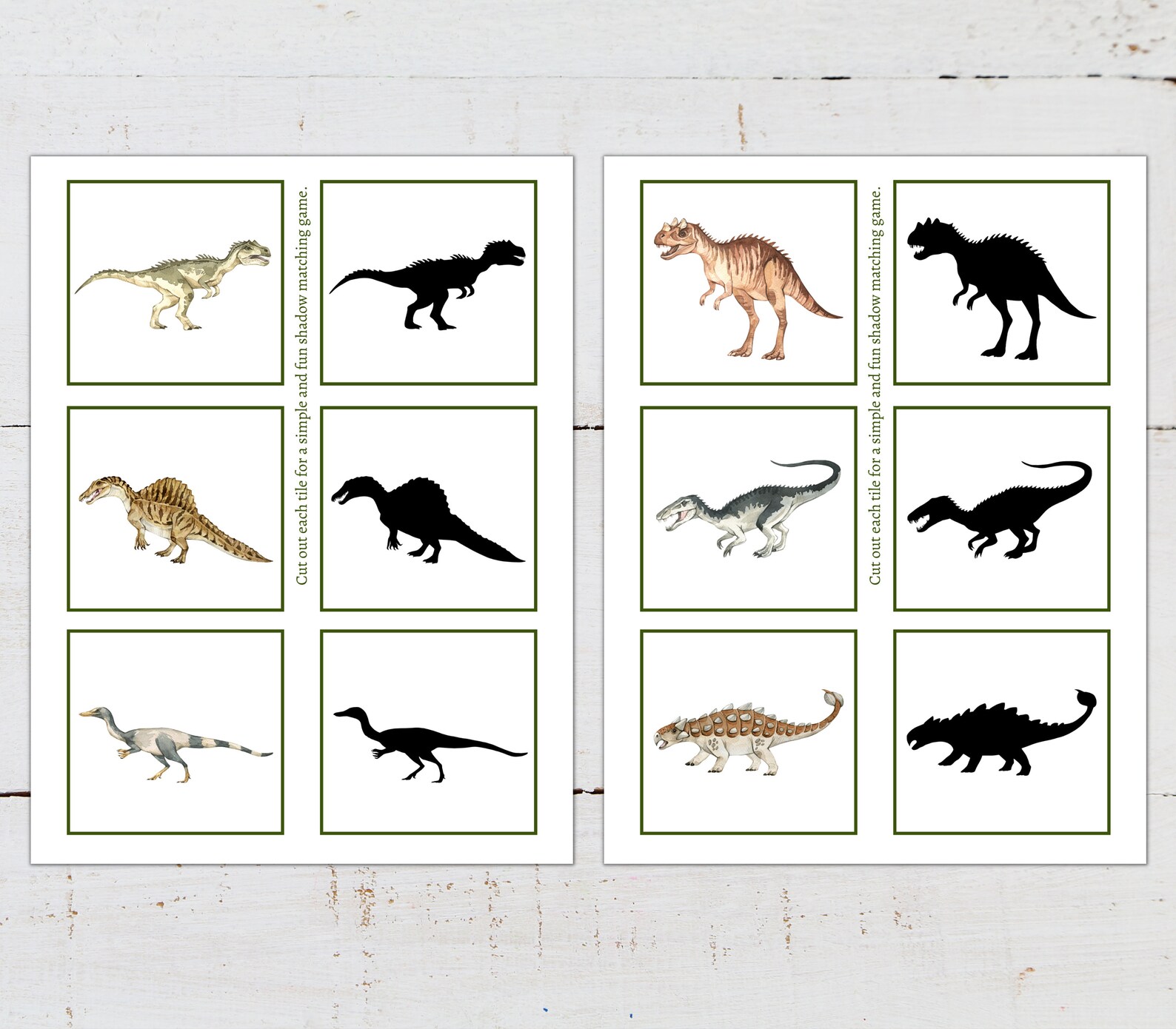 DINOSAUR Shadow Matching, Silhouette Matching, Montessori at Home ...