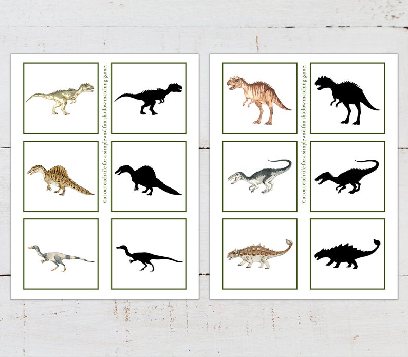DINOSAUR Shadow Matching, Silhouette Matching, Montessori at Home ...