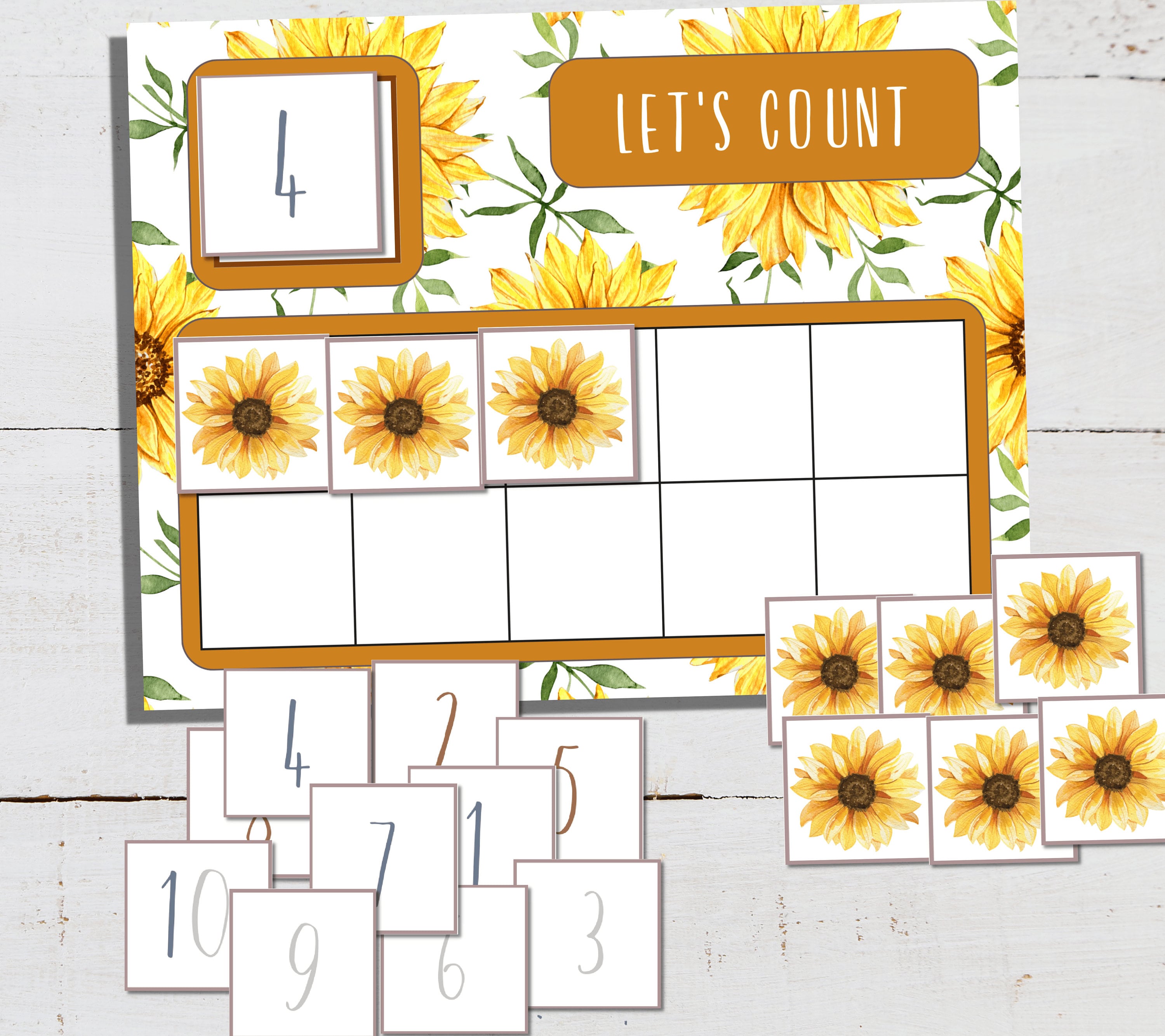 SUNFLOWER Unit Study, Life Cycle, Anatomy, Nature Study, Science ...