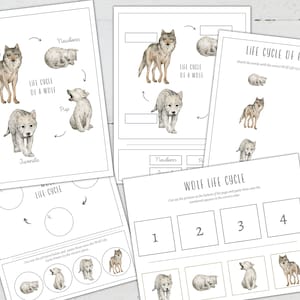WOLF Mini Unit Study, Life Cycle, Anatomy, Nature Study, Science ...