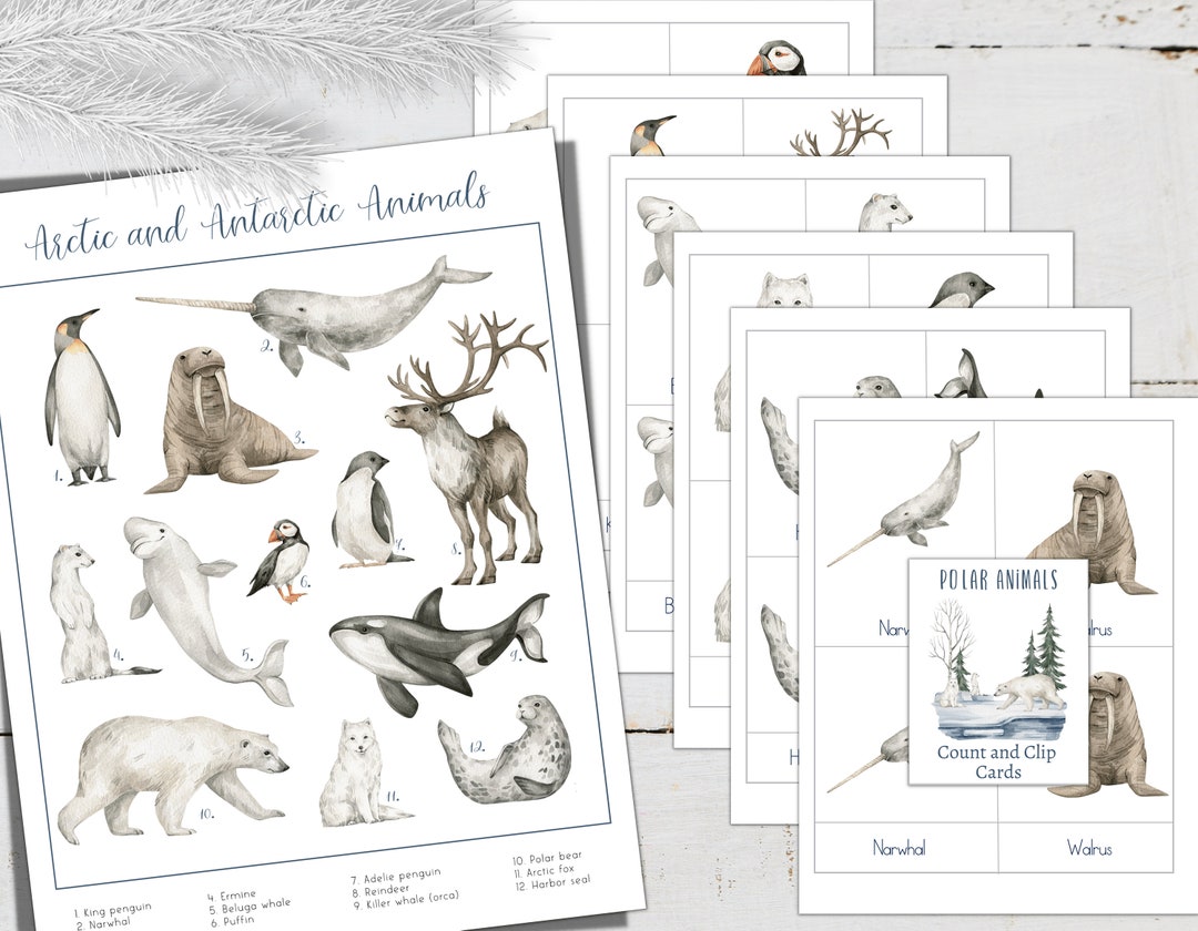 POLAR ANIMALS Mini Poster + 3-part Cards, Arctic and Antarctic Animals ...