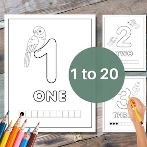 NUMBER Count and Coloring Worksheets, 1 to 20 Counting, Preschool ...