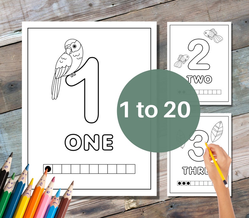 NUMBER Count and Coloring Worksheets, 1 to 20 Counting, Preschool ...