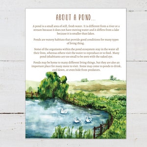 POND LIFE Unit Study, Life Cycle, Anatomy, Nature Study, Science ...