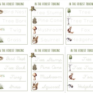 IN THE FOREST Pre-k and K Activity Pack, Homeschool, Digital, Instant ...
