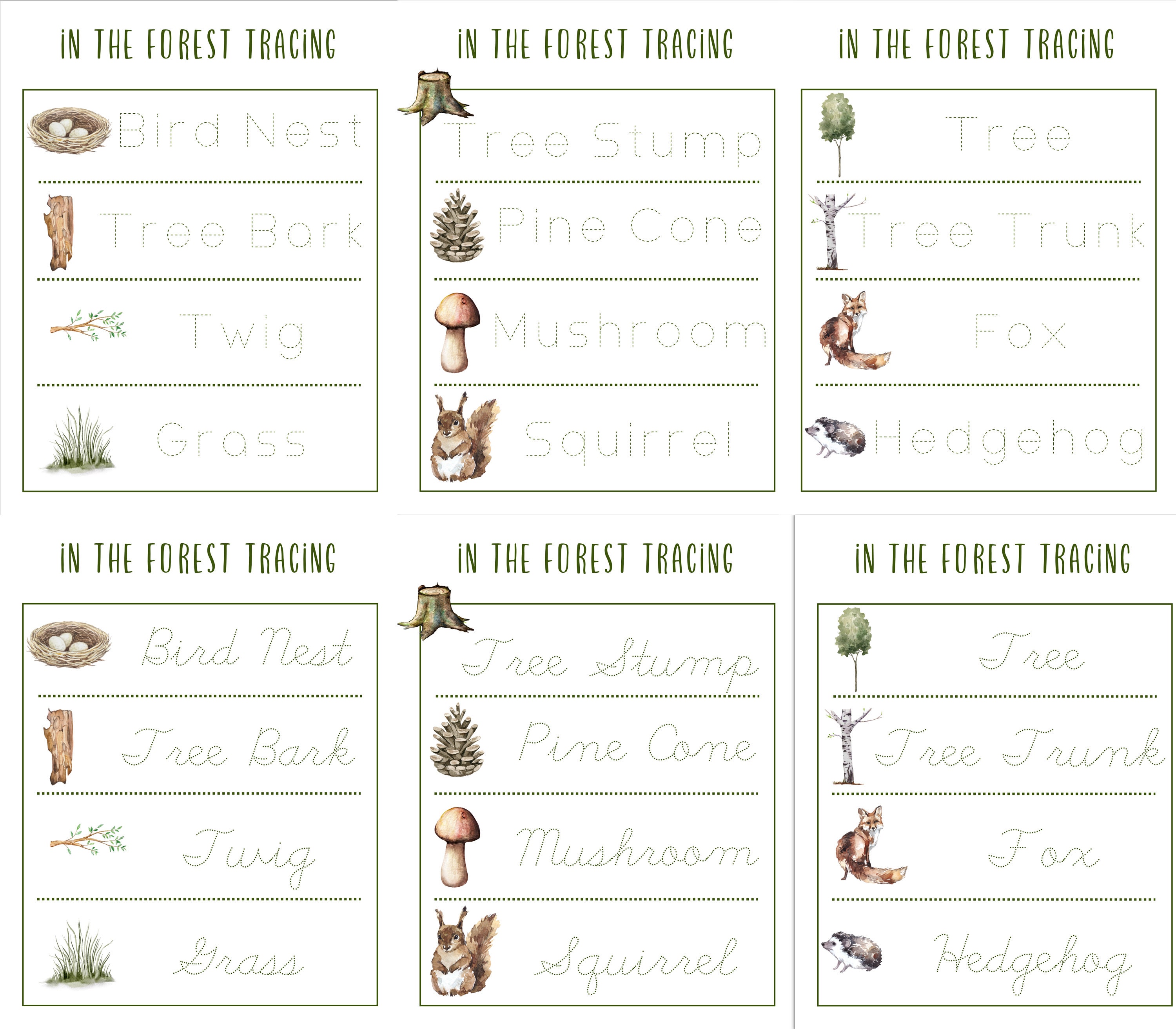 IN THE FOREST Pre-k and K Activity Pack, Homeschool, Digital, Instant ...