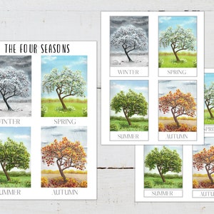 The Four Seasons Nature Study, Seasons Activities, Science, Handwriting ...