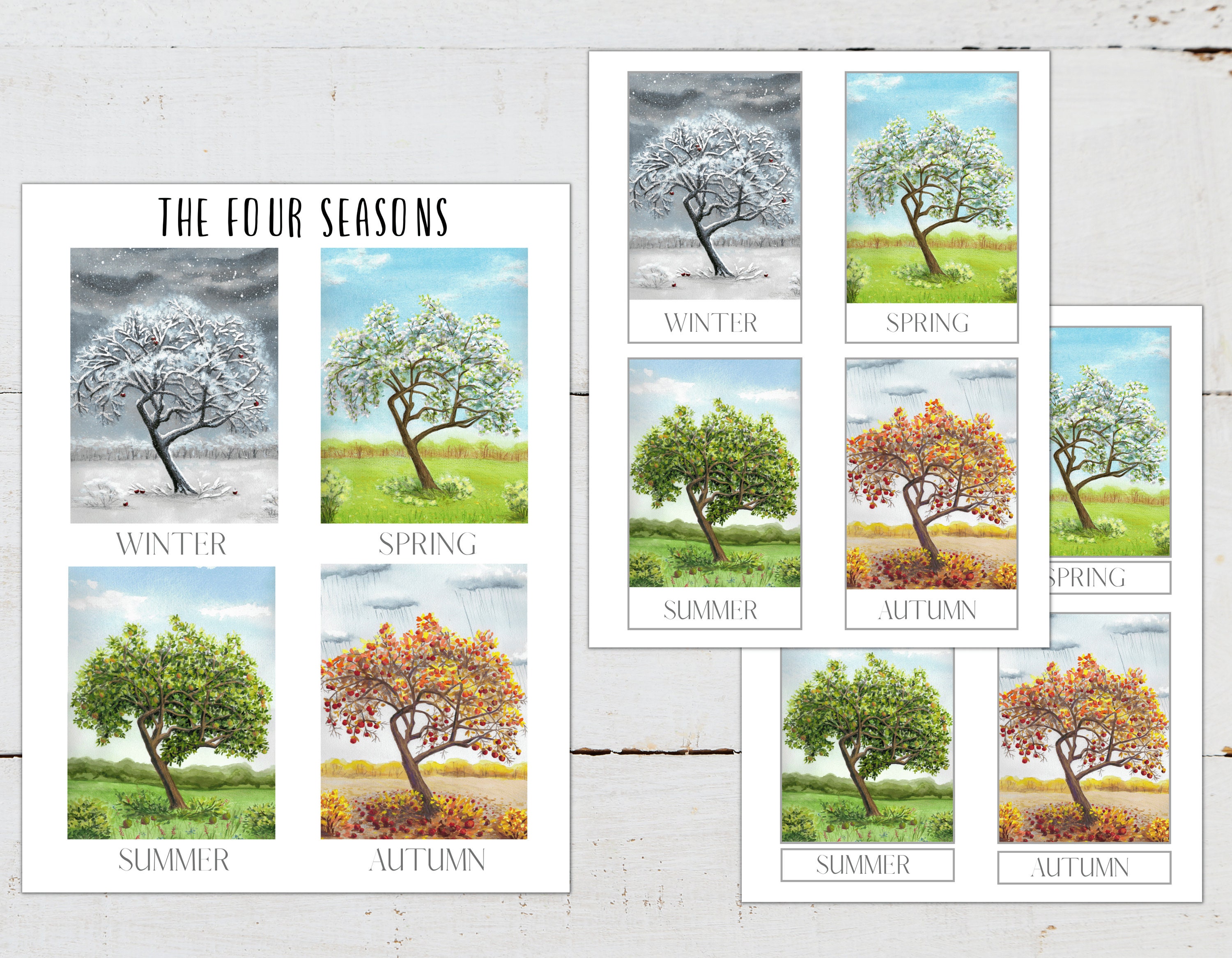 The Four Seasons Nature Study, Seasons Activities, Science, Handwriting ...