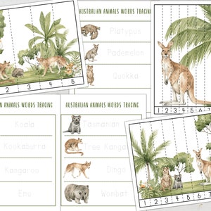 AUSTRALIAN Animals Pre-k and K Activity Pack, Homeschool, Digital ...