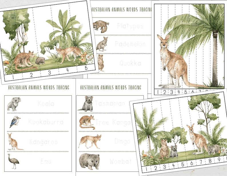 AUSTRALIAN Animals Pre-k and K Activity Pack, Homeschool, Digital ...