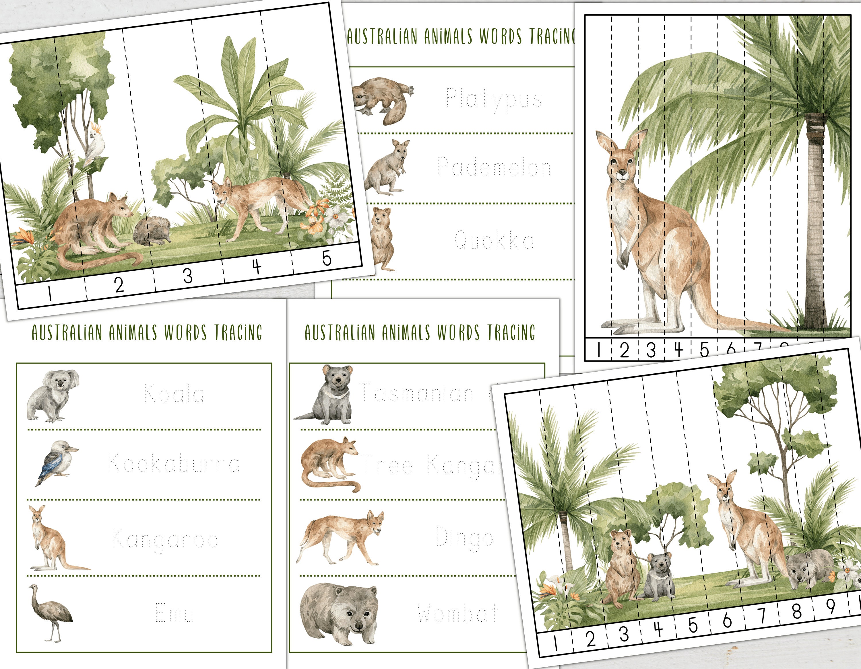 AUSTRALIAN Animals Pre-k and K Activity Pack, Homeschool, Digital ...