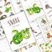 SNAKE Unit Study, Life Cycle, Anatomy, Nature Study, Science ...