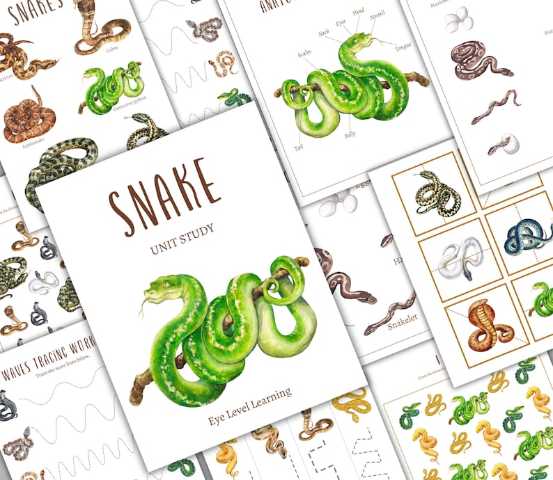 SNAKE Unit Study, Life Cycle, Anatomy, Nature Study, Science ...