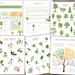 TREE Unit Study, Life Cycle, Anatomy, Nature Study, Science, Homeschool ...