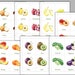 FRUIT & VEGGIES Pre-k and K Activity Pack, Homeschool, Digital, Instant ...