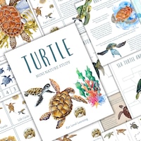 Ocean Animal Study - Etsy