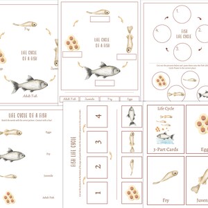 POND LIFE Unit Study, Life Cycle, Anatomy, Nature Study, Science ...