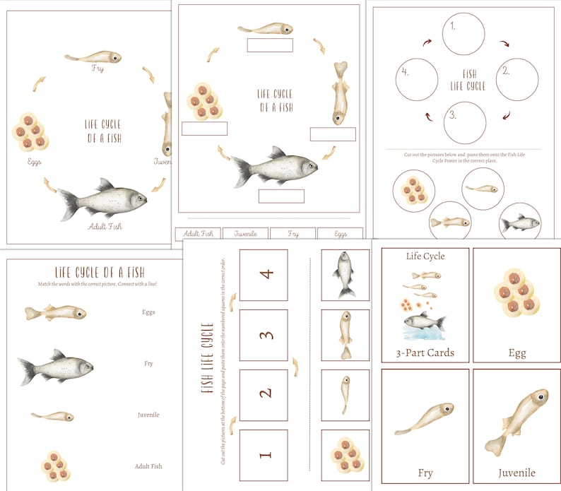 POND LIFE Unit Study, Life Cycle, Anatomy, Nature Study, Science ...