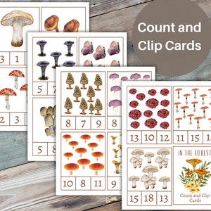 MUSHROOMS Pre-k and K Activity Pack, Homeschool, Digital, Instant ...