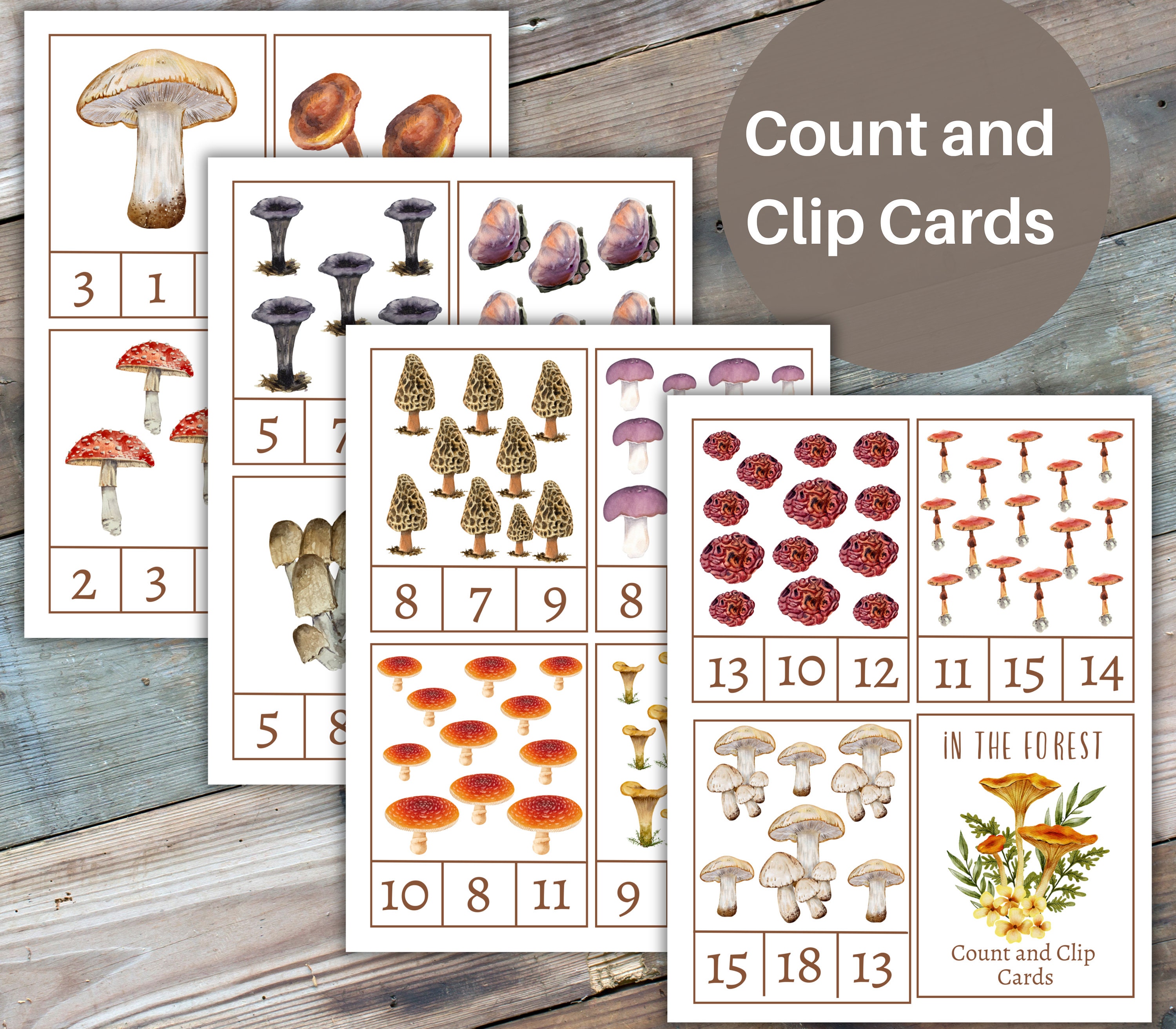 MUSHROOMS Pre-k and K Activity Pack, Homeschool, Digital, Instant ...