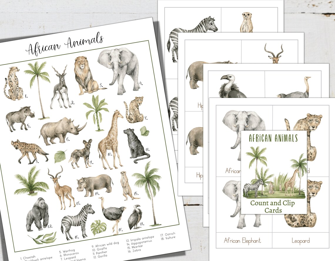 AFRICAN ANIMALS Mini Poster 3-part Cards Homeschool - Etsy