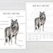 WOLF Mini Unit Study, Life Cycle, Anatomy, Nature Study, Science ...