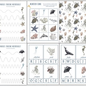 OCEAN Animals Pre-k and K Activity Pack, Homeschool, Digital, INSTANT ...