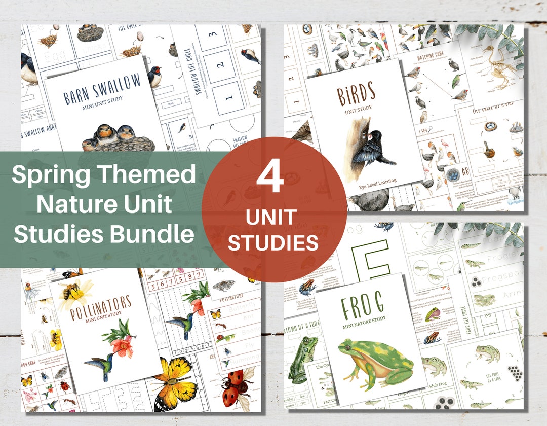 SPRING Themed Nature Study Units BUNDLE, Birds, Frogs, Barn Swallow ...