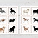 FARM ANIMALS Shadow Matching, Silhouette Matching, Montessori at Home ...