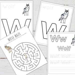 WOLF Mini Unit Study, Life Cycle, Anatomy, Nature Study, Science ...