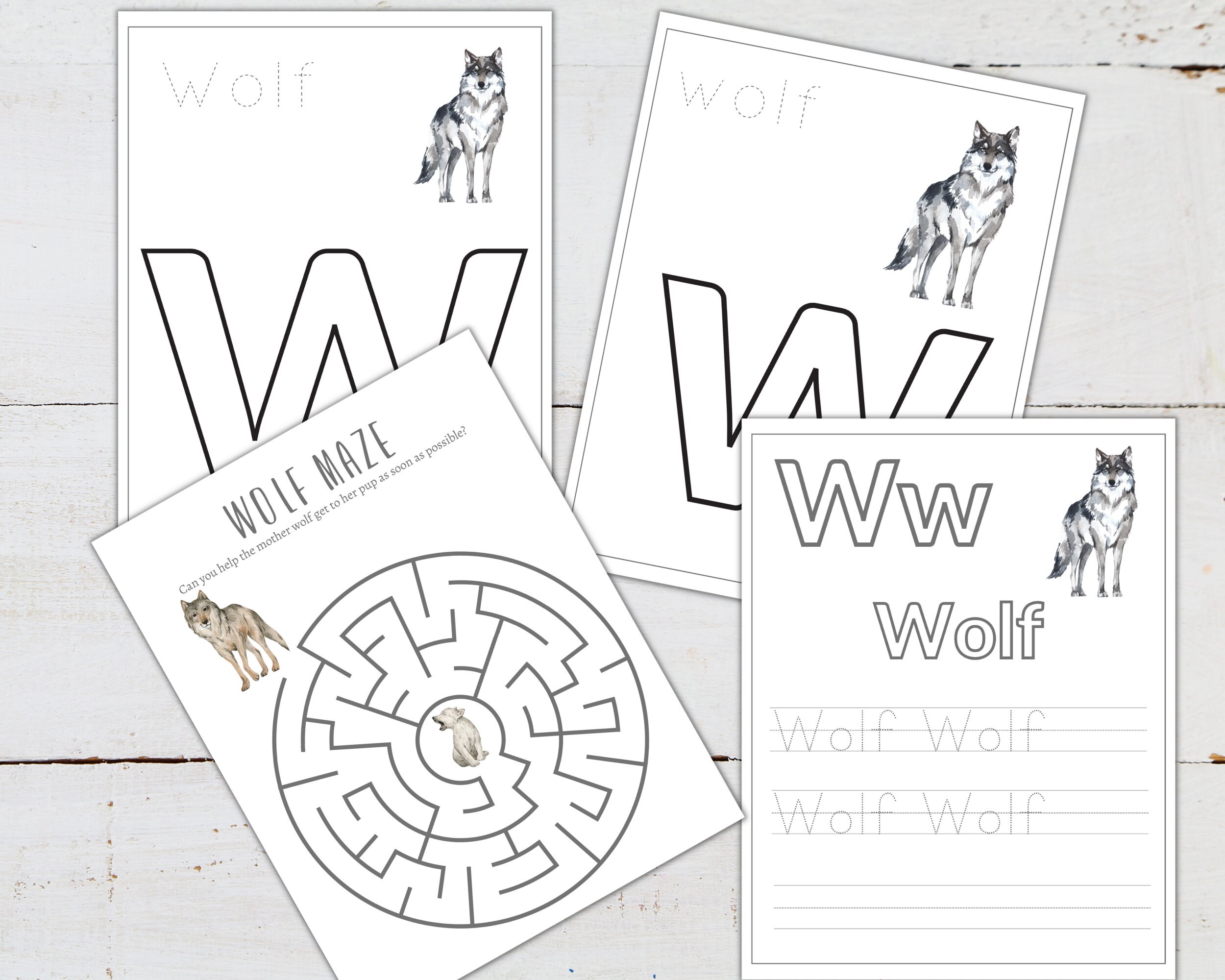 WOLF Mini Unit Study, Life Cycle, Anatomy, Nature Study, Science ...