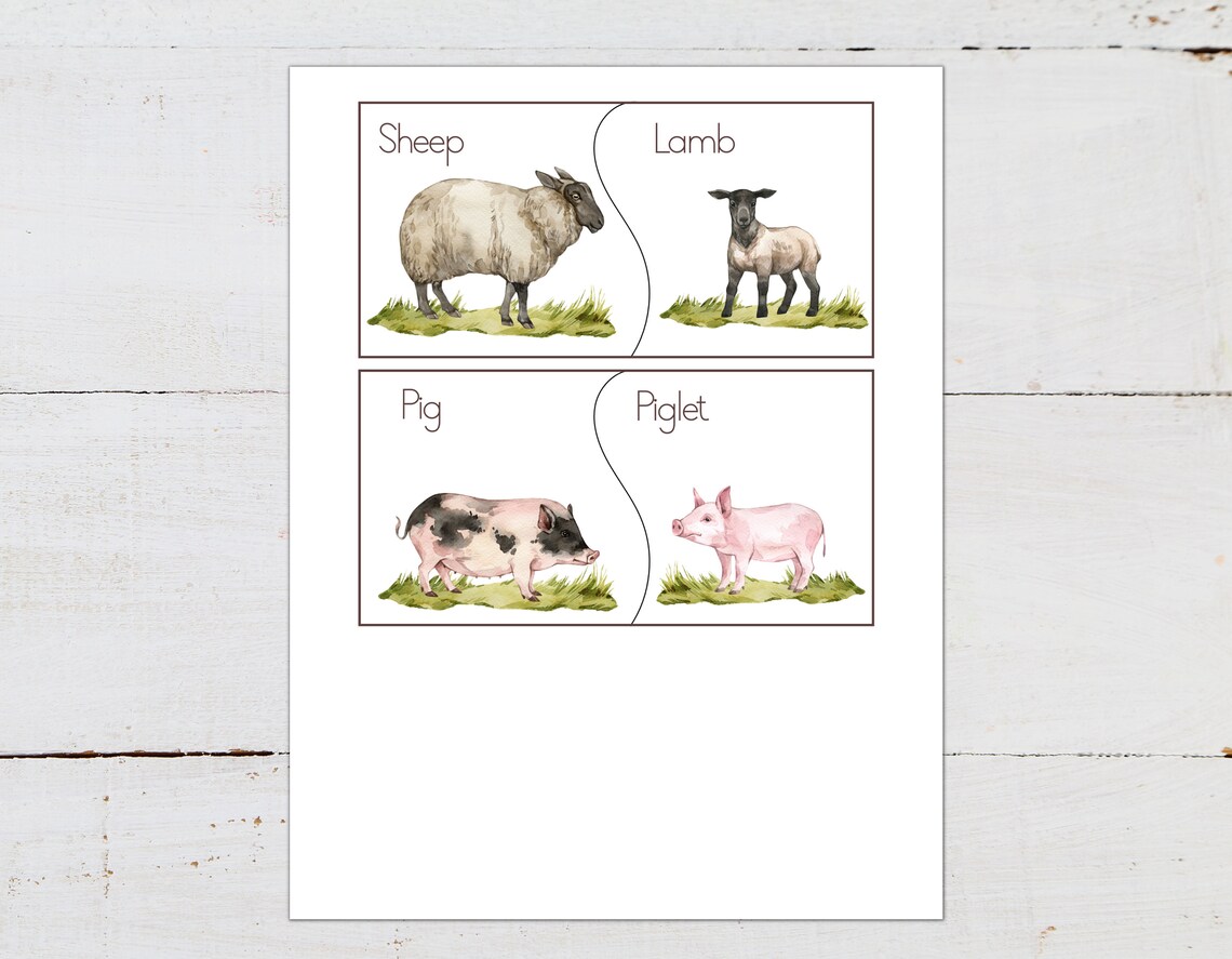 Mother and Baby Farm Animal Matching Cards and Flash Cards. Montessori ...