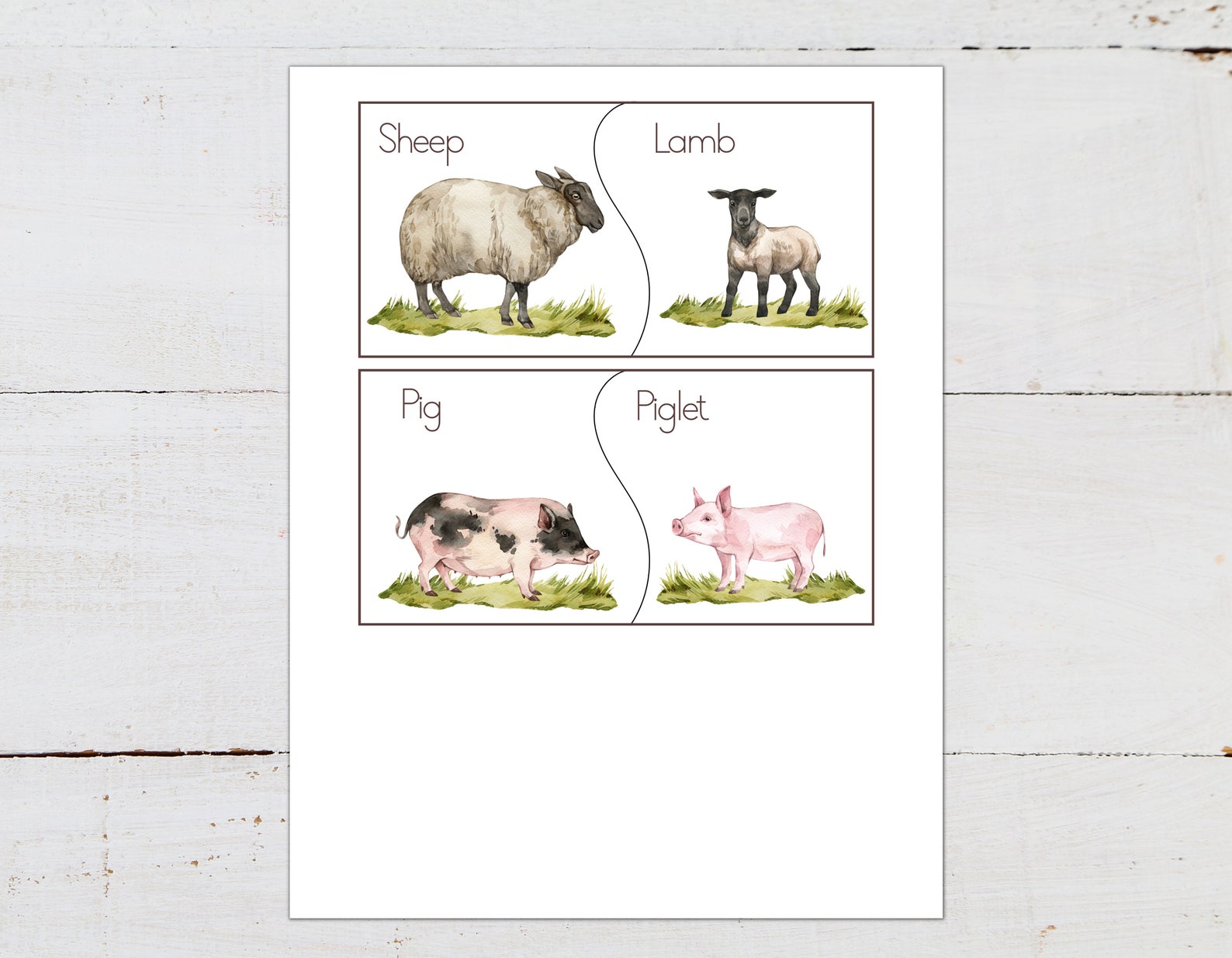 Mother and Baby Farm Animal Matching Cards and Flash Cards. Montessori ...