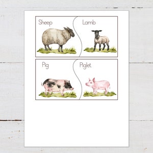 Mother and Baby Farm Animal Matching Cards and Flash Cards. Montessori ...